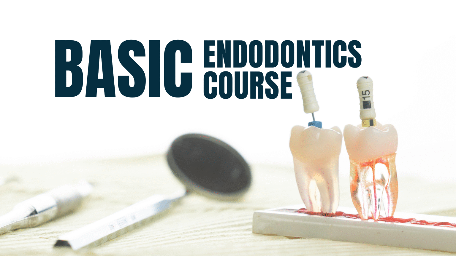 Basic Endodontics Course | Step-by-Step Guide | Dental School Online